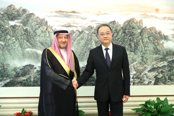 Vice Foreign Minister Deng Li Holds Political Consultation with Deputy ...