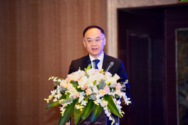 Assistant Foreign Minister Nong Rong Attends Forum on Developing ...