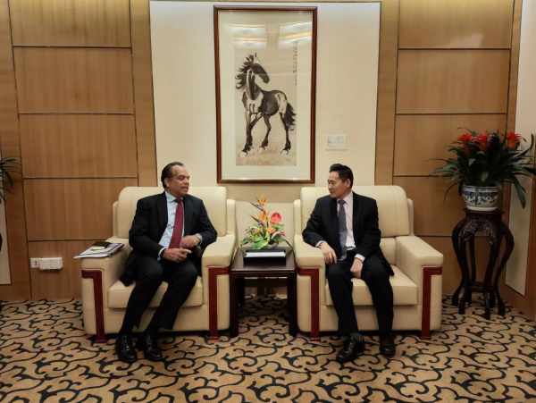 Special Envoy for the Horn of Africa Affairs of the Foreign Ministry ...