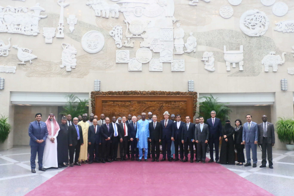 Vice Foreign Minister Deng Li Meets with OIC Delegation_Ministry of ...