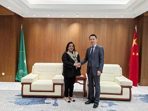 Chargé d'Affaires of the Mission of China to the African Union Zhang Wei Meets with UNODC-ROEA ...