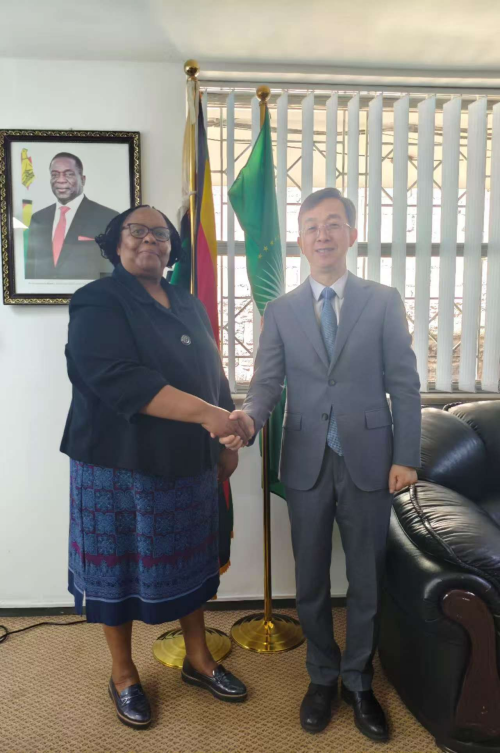 Head of the Chinese Mission to the African Union Ambassador Jiang Feng ...