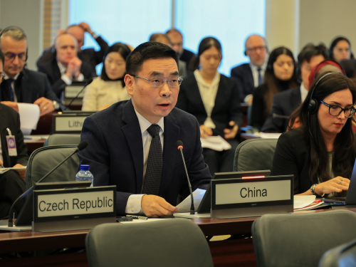 Chinese Ambassador to the Netherlands Shen Bo Attends the 111th Session ...