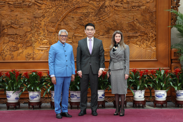Director-General Shen Bo of the Department of International ...