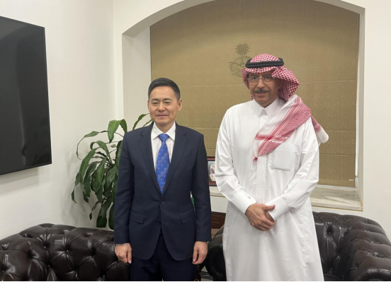 Special Envoy for the Horn of Africa Affairs of the Foreign Ministry ...