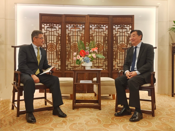 Special Envoy of the Chinese Government on the Middle East Issue Zhai ...