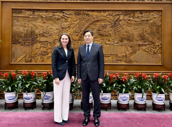 Special Envoy of the Chinese Government on the Middle East Issue Zhai ...