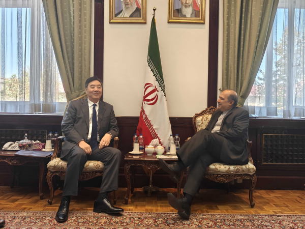 Special Envoy Zhai Jun of the Chinese Government on the Middle East ...