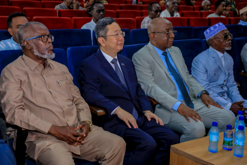Chinese Ambassador to Somalia Wang Yu Visits the Signature China-aid ...